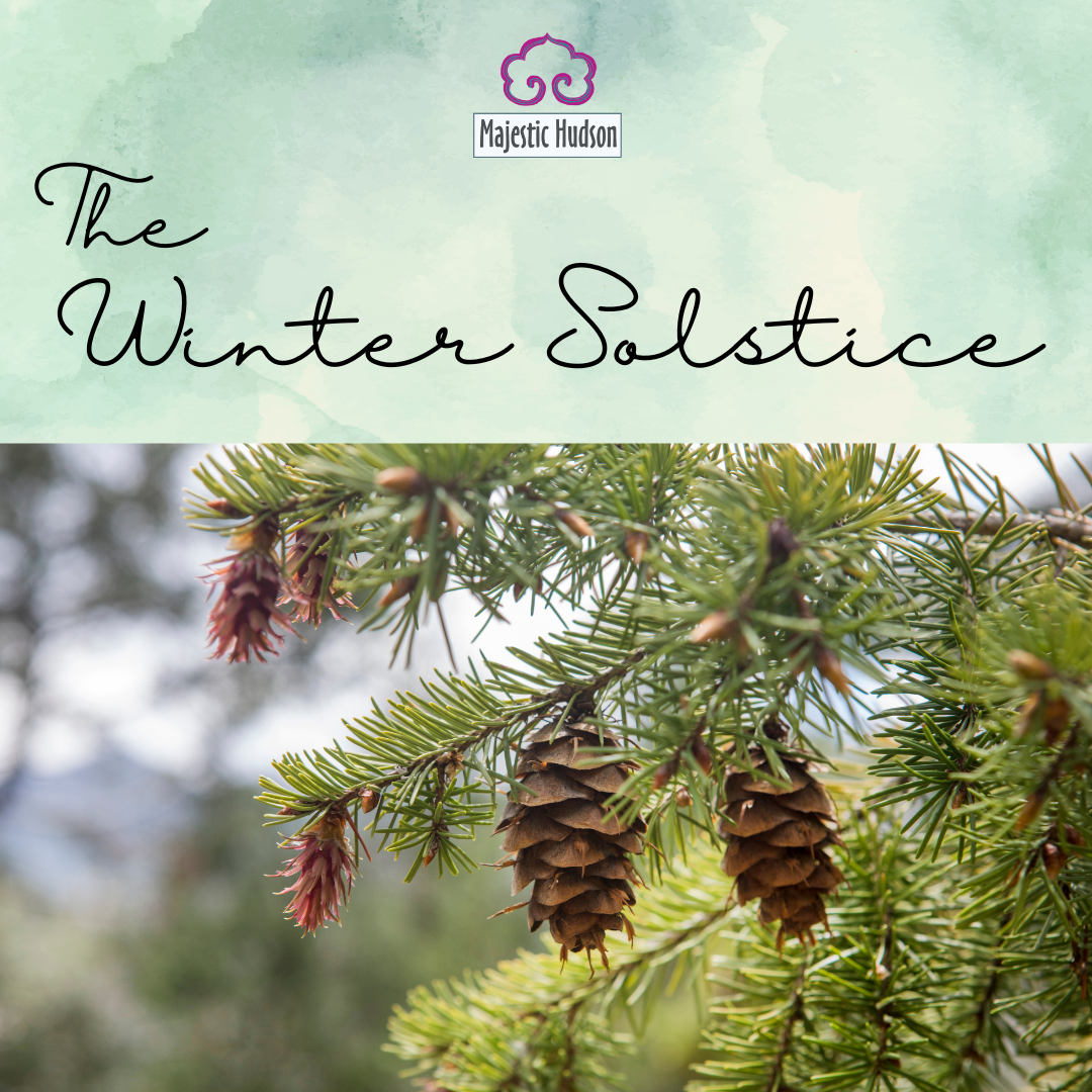 The Winter Solstice and Pine Cone Symbolism – Majestic Hudson Lifestyle